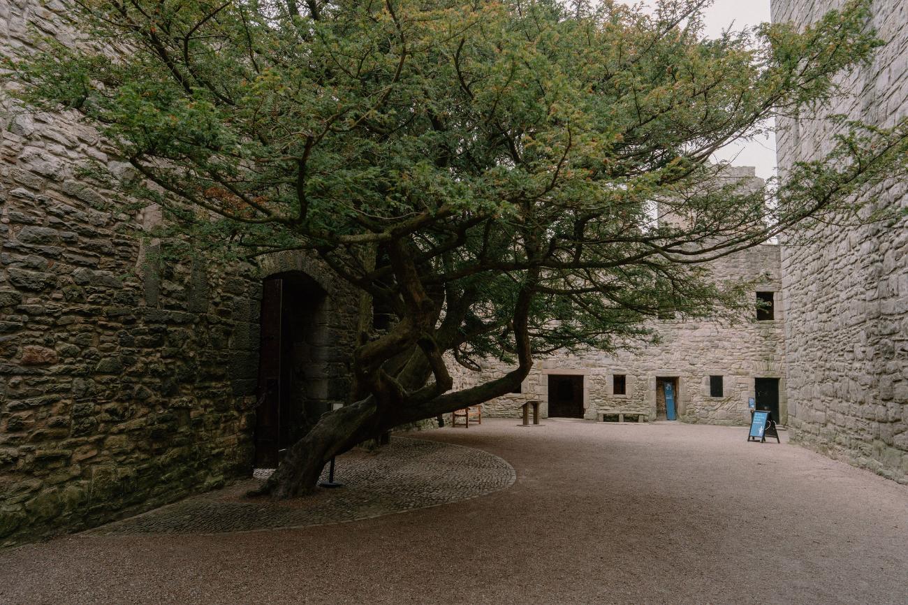 Holyrood Abbey and The White Stag - Hidden Scotland