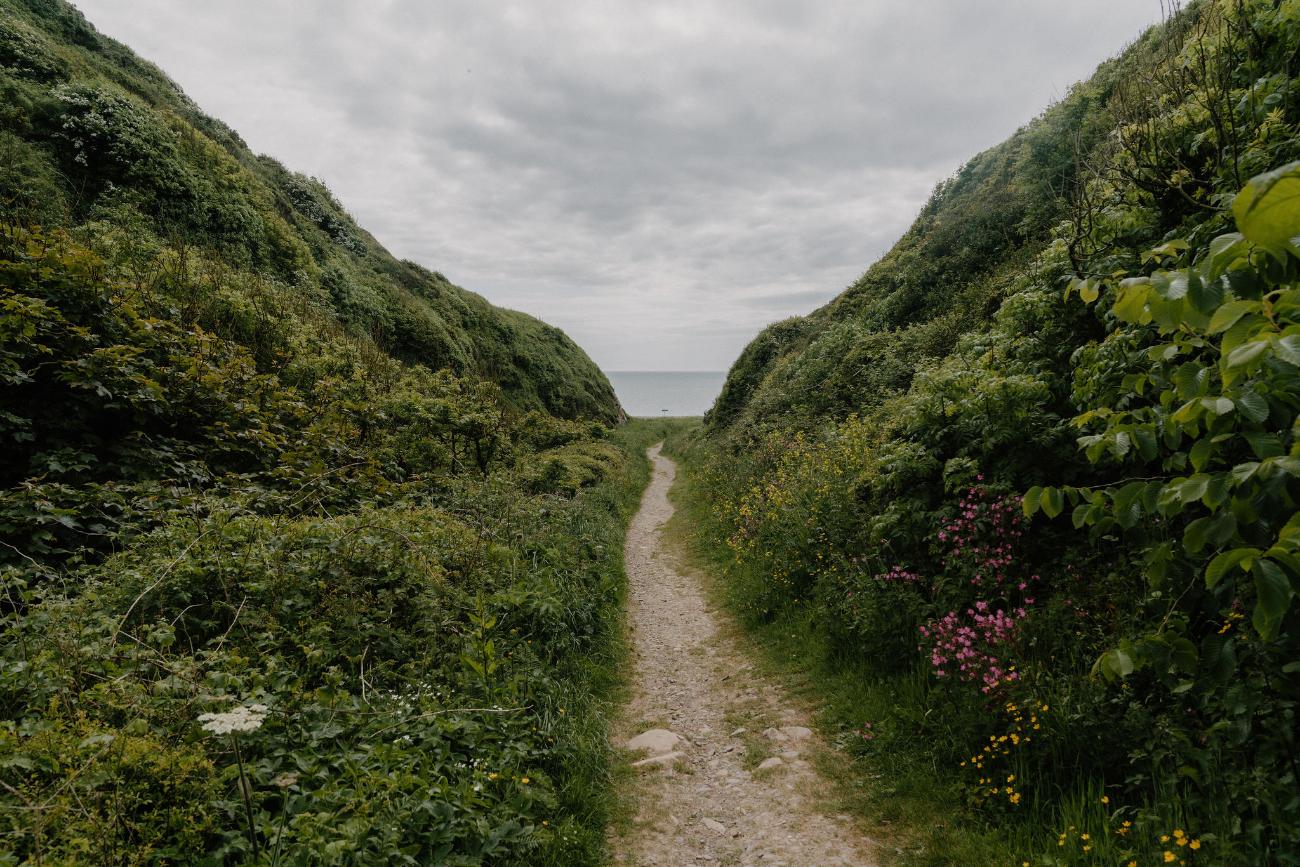 The Legend of Heather Ale - Hidden Scotland