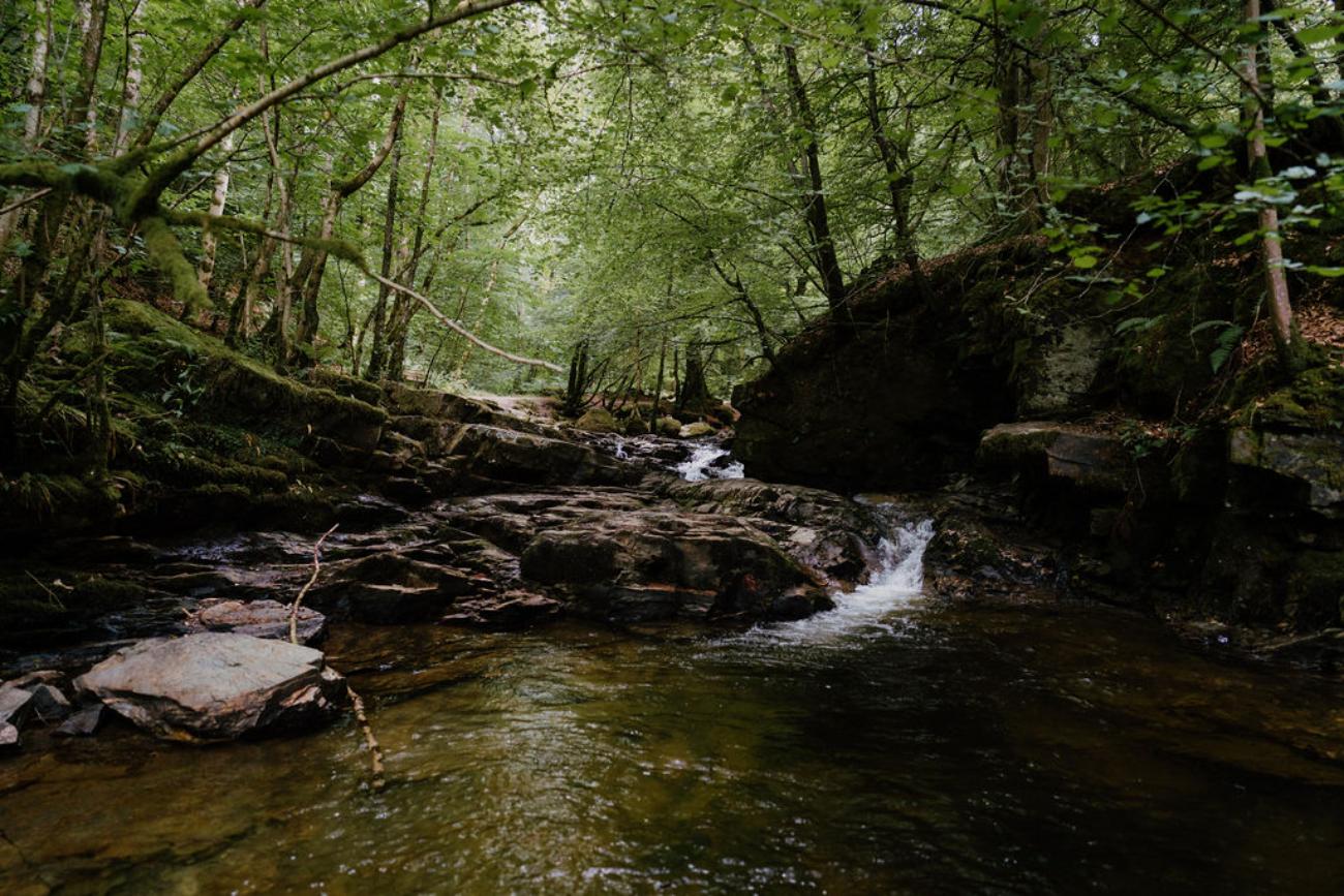 The Creature Living In The Birks of Aberfeldy - Hidden Scotland