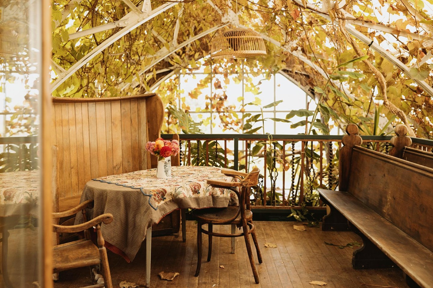 Auld and New by Banjo Beale - Hidden Scotland